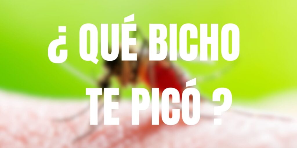 ¿Qué bicho te picó? - TAYAKÁN.-GRACIAS A DIOS!